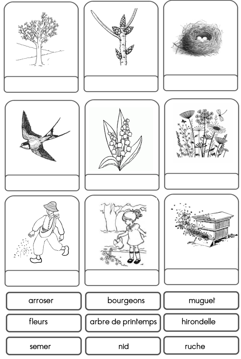 Le temps - Mon Petit CP Pas à pas